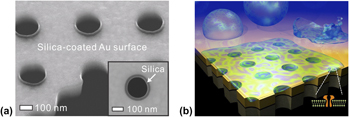 Atomic layer deposition: A versatile technique for plasmonics and ...