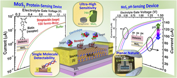 Engineered 2D nanomaterials–protein interfaces for efficient sensors ...