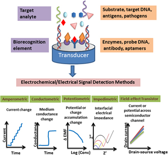 Graphene based biosensors for healthcare | Journal of Materials ...