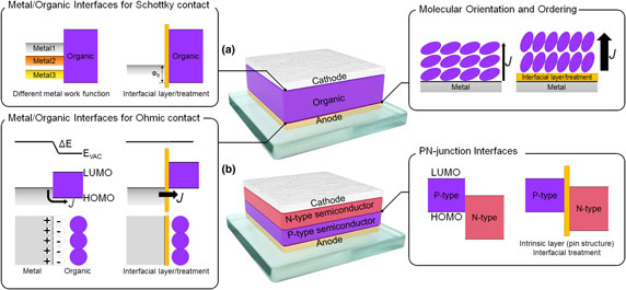 High-frequency organic rectifiers through interface engineering | MRS ...