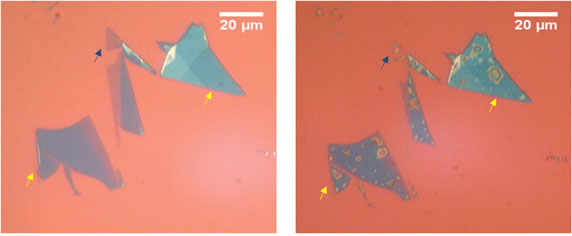 Long-term stability of mechanically exfoliated MoS2 flakes | MRS ...