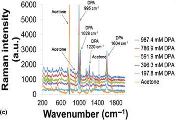 Signal detection limit of a portable Raman spectrometer for the SERS ...